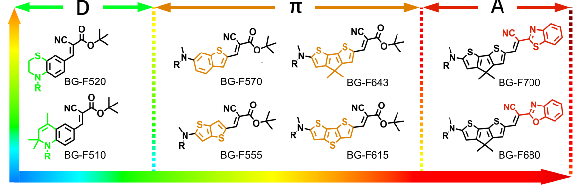 BGF ligands for SNAP-tag mimics of fluorescent proteins – FR Biotechnology
